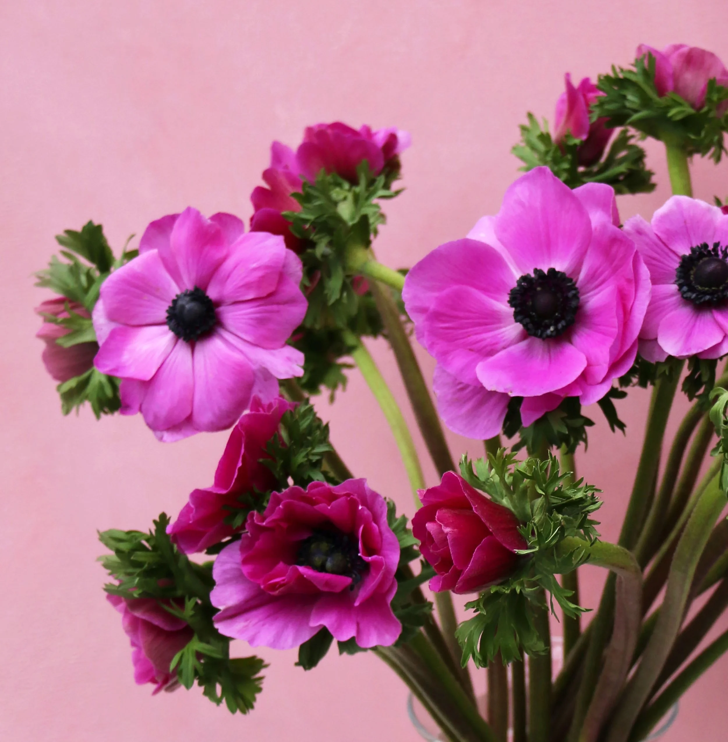 Flower Delivery London: Your London Florist