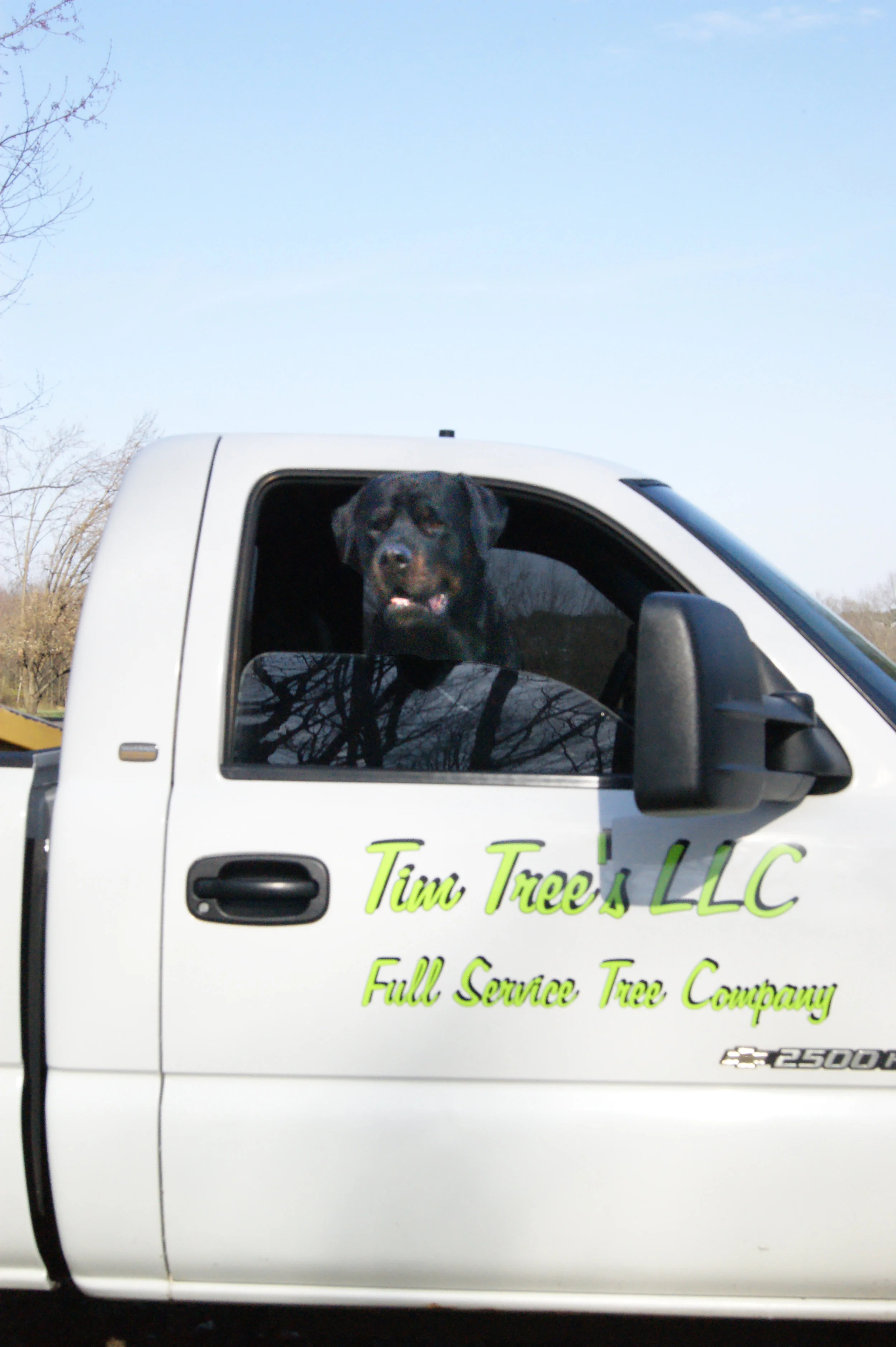 Contact Us — Tim Tree's LLC