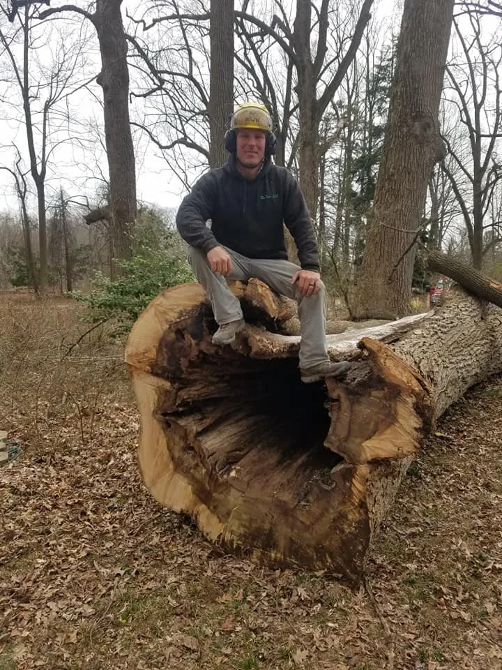 On Site Gallery — Tim Tree's LLC