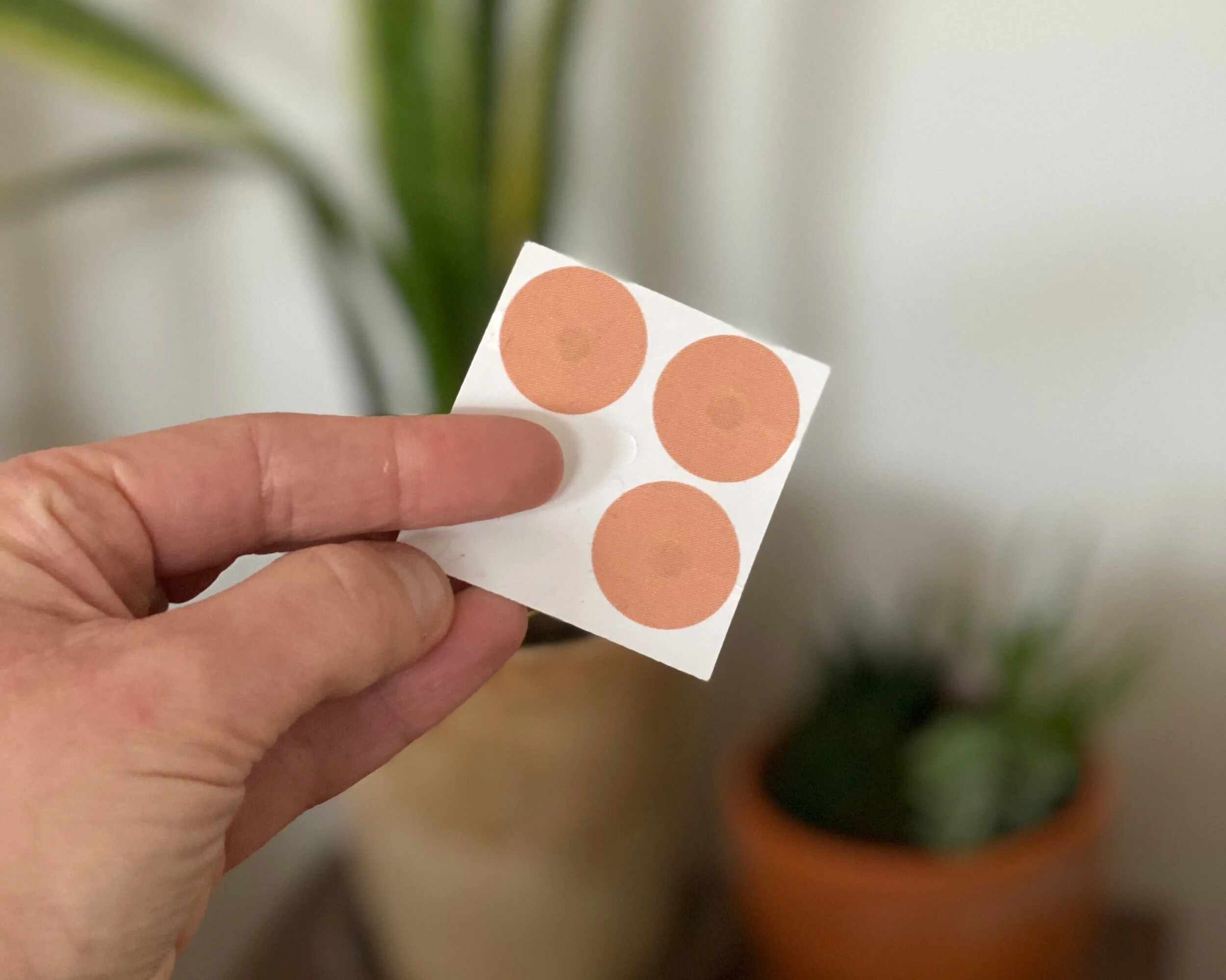 Magnets — Spark Acupuncture