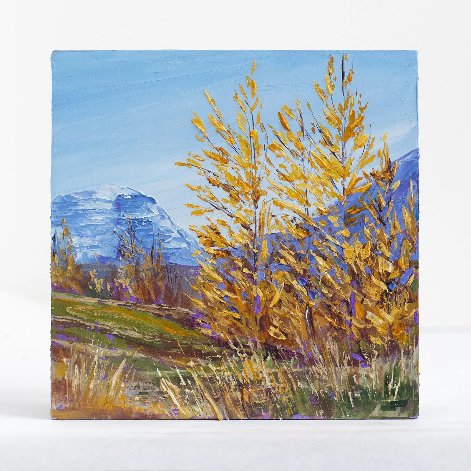Originals — ANNE DEJONG ART