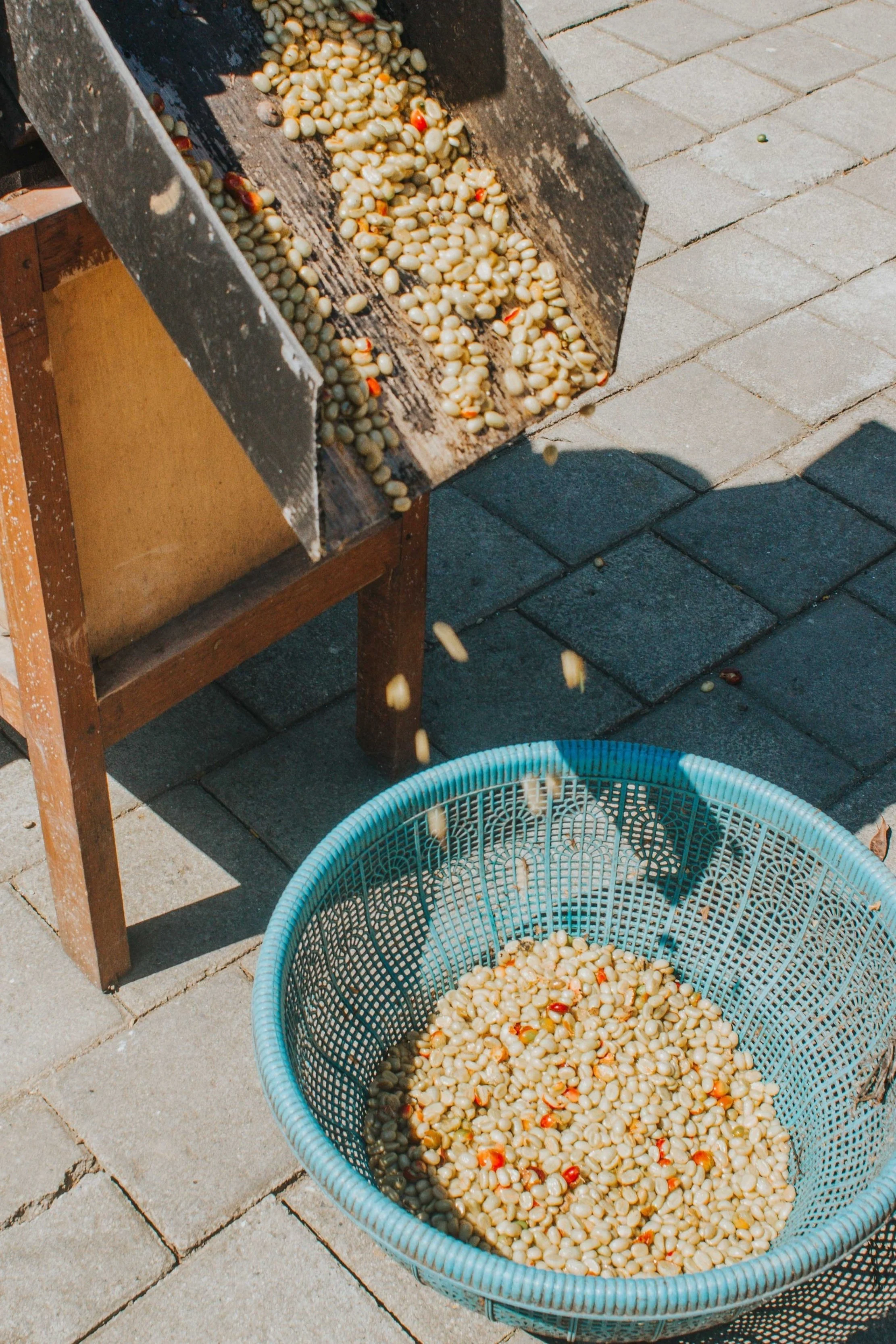 Value Measurement & Distribution — Coffee Science Foundation