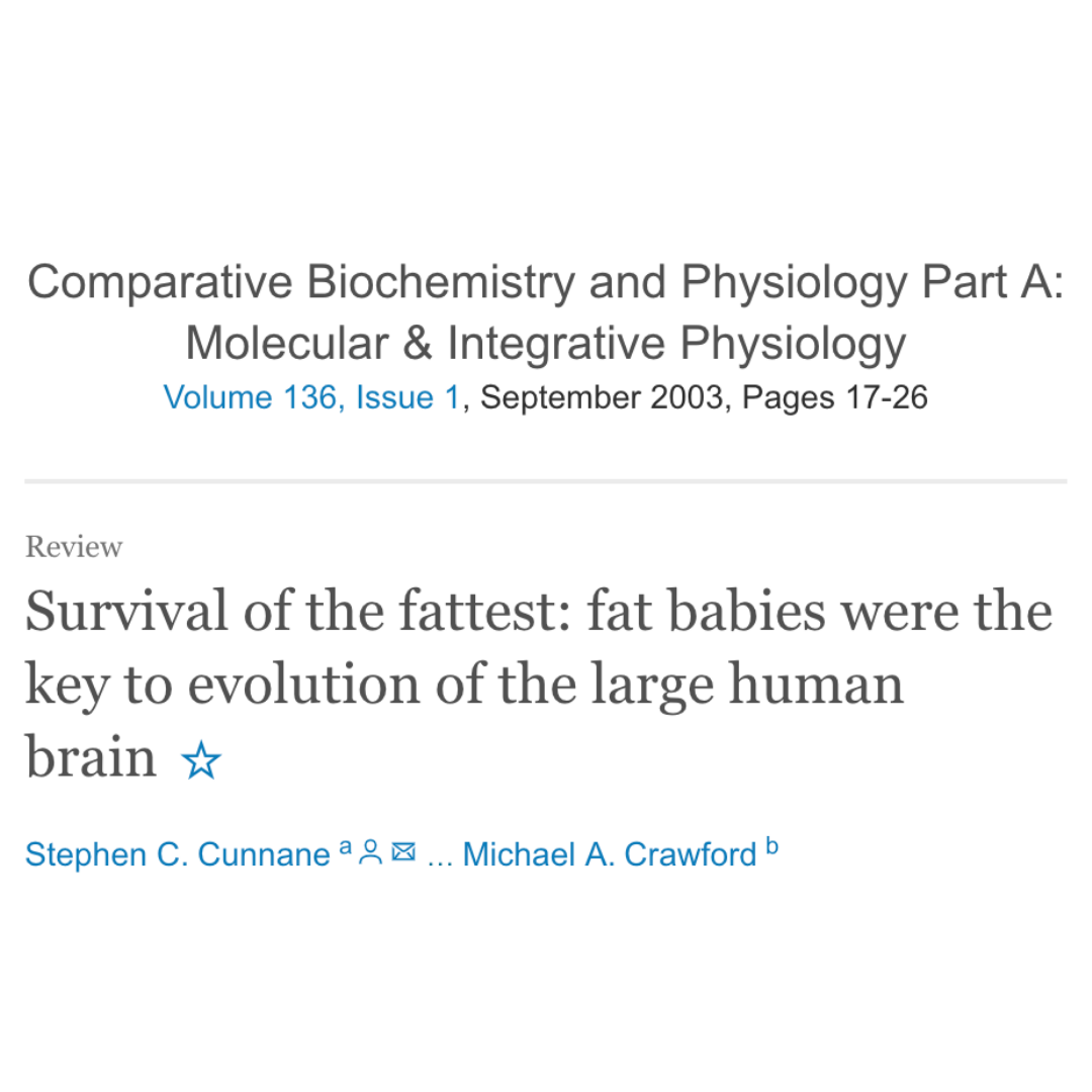 BLOG — Kristi Storoschuk