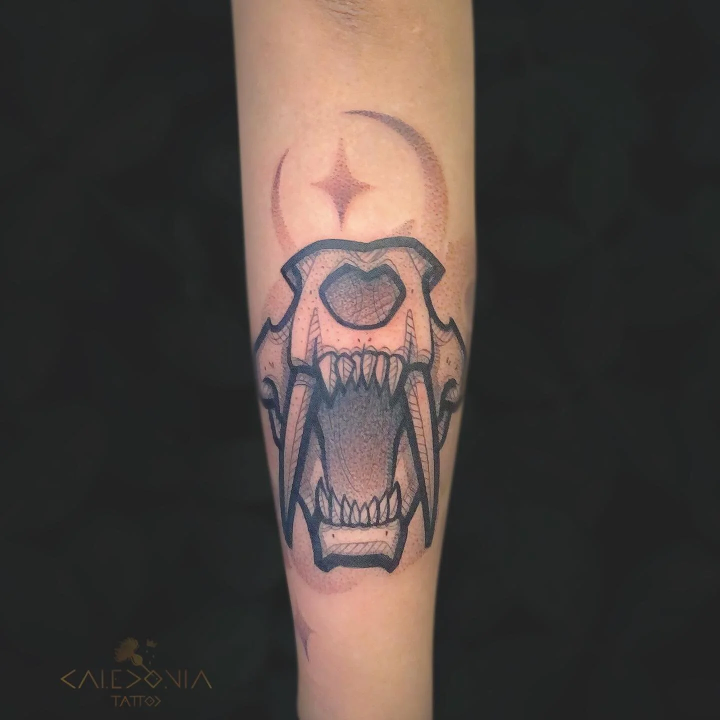 Saber Tooth Tiger Skull Tattoo