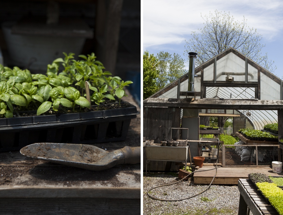 A full-circle, farm-to-table experience — Primo Restaurant