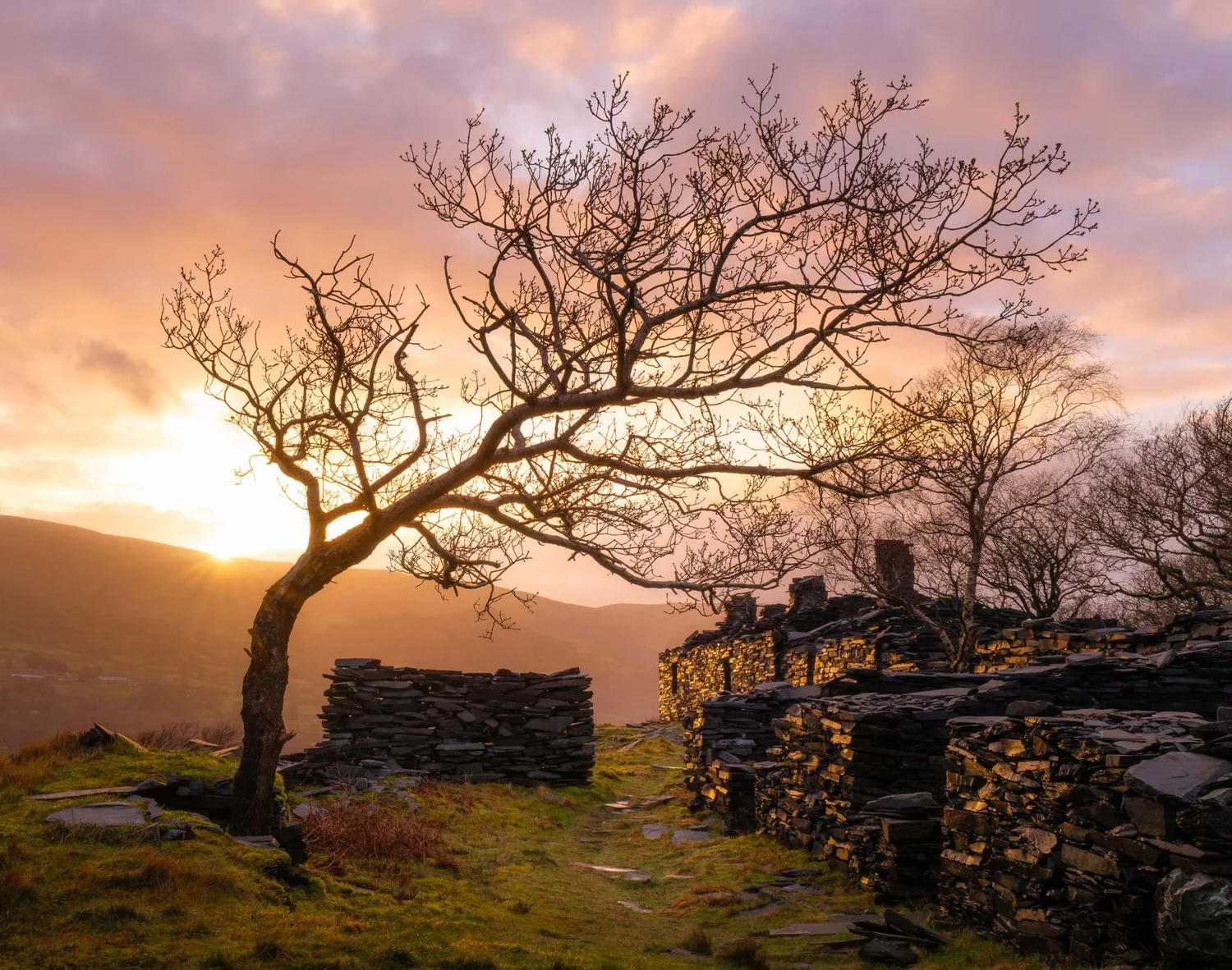 Backlighting in landscape photography and how to use it effectively ...