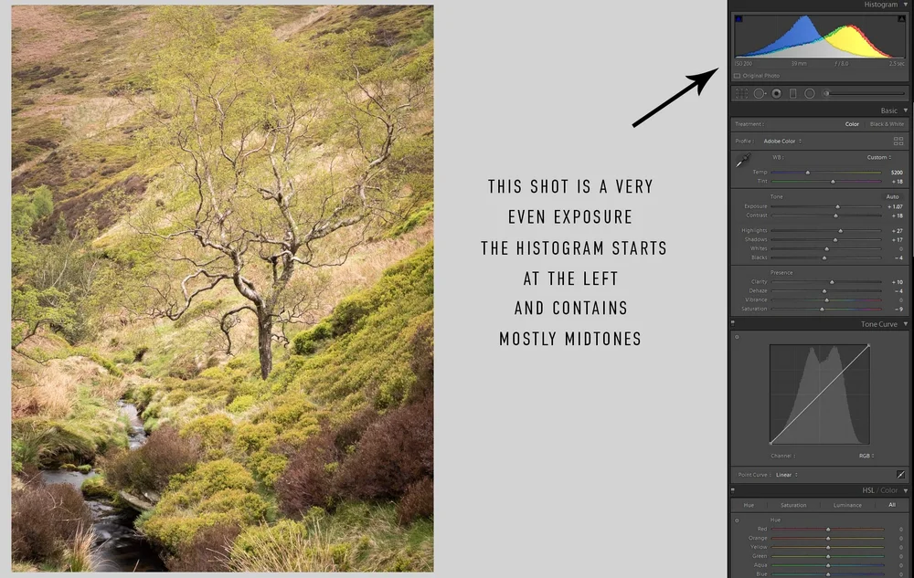 How to use the histogram for landscape photography — IAN WORTH