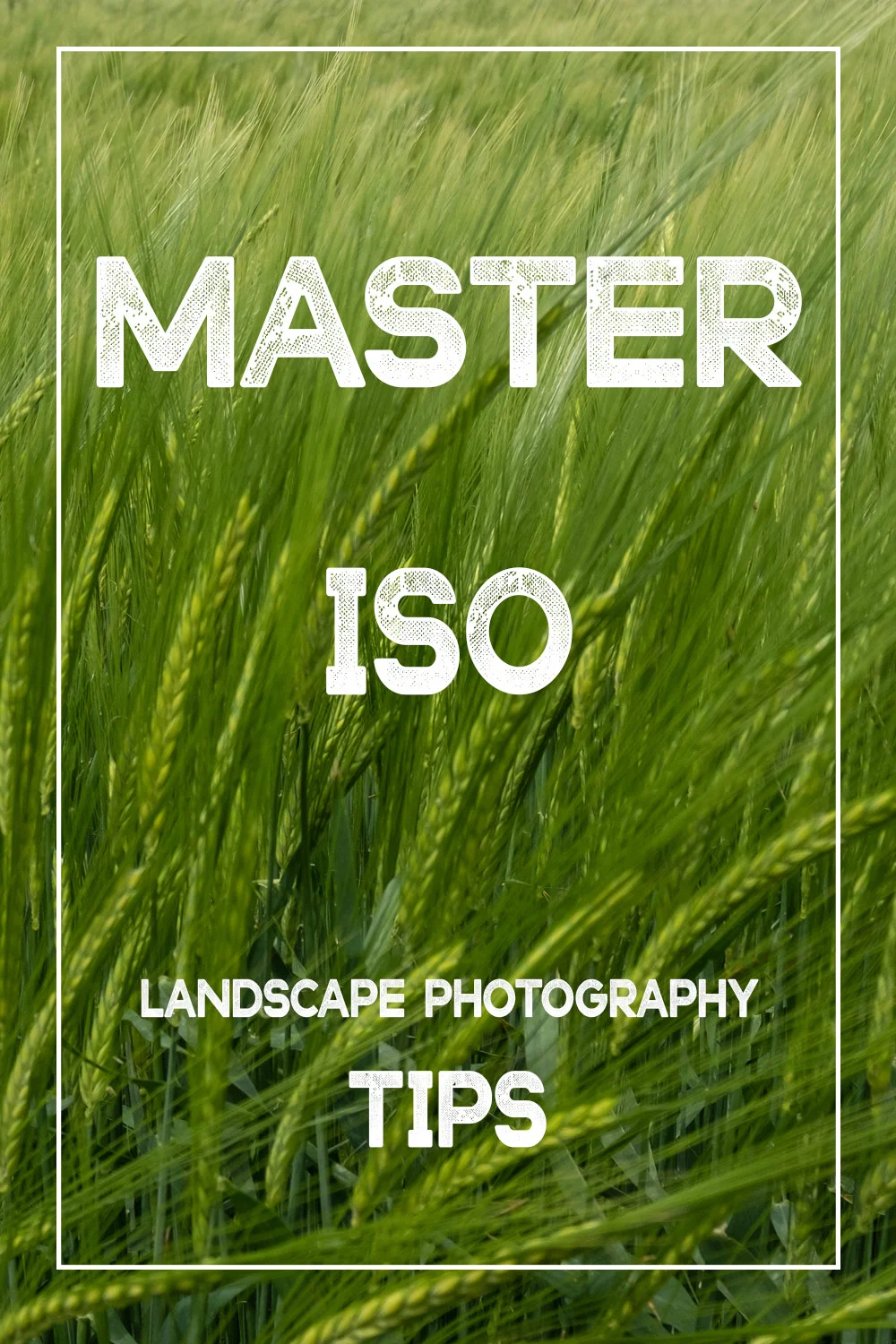 ISO for landscape photography — IAN WORTH