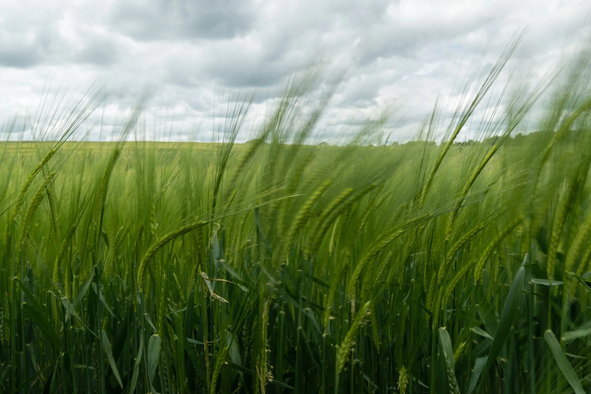 ISO for landscape photography — IAN WORTH