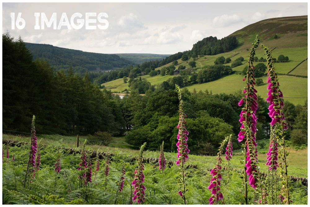 Focus stacking for landscape photography — IAN WORTH