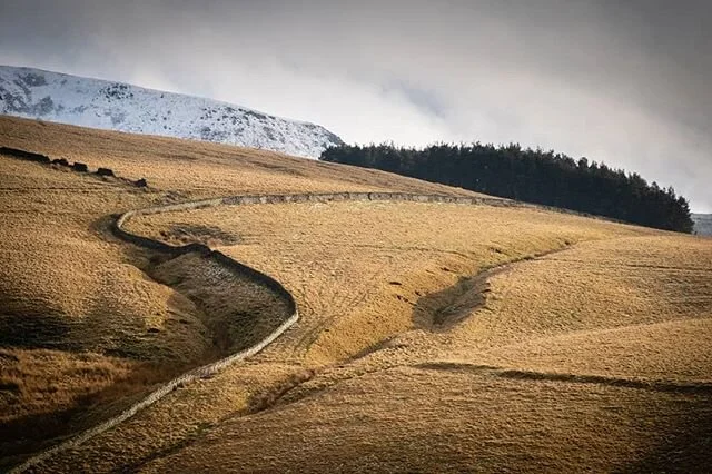 How to shoot into the sun - Photography tips — IAN WORTH