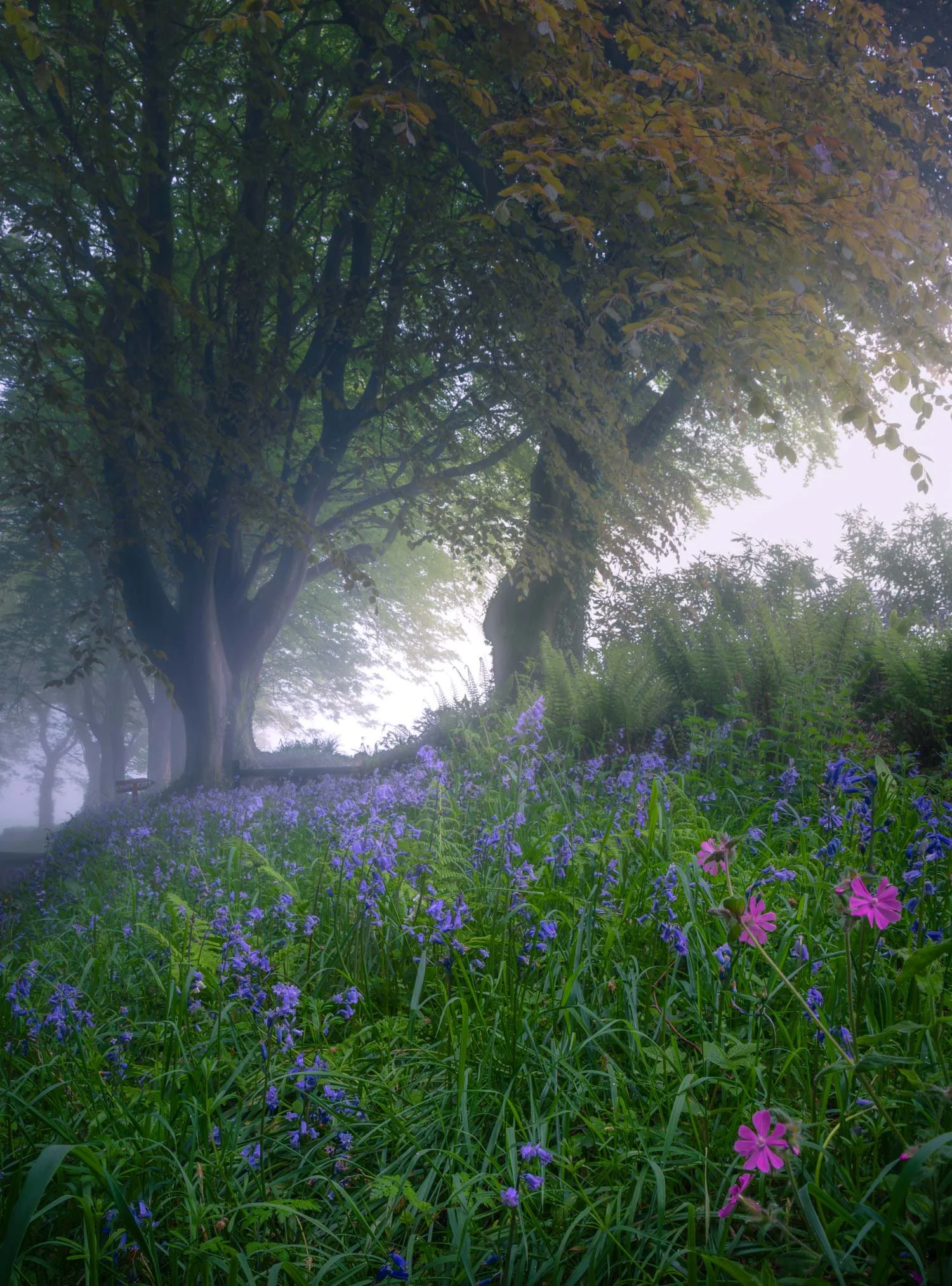 Landscape Photography Tips & Tricks — IAN WORTH