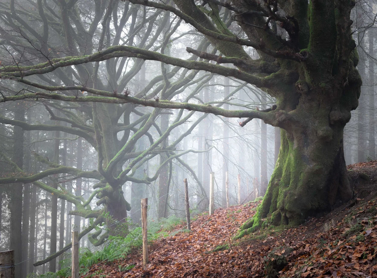 The Art of Subtraction in Photography: How to Create Simplicity — IAN WORTH
