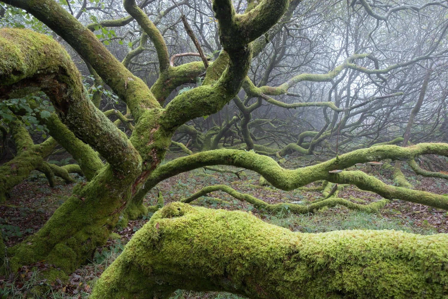 How to use separation in landscape photography — IAN WORTH