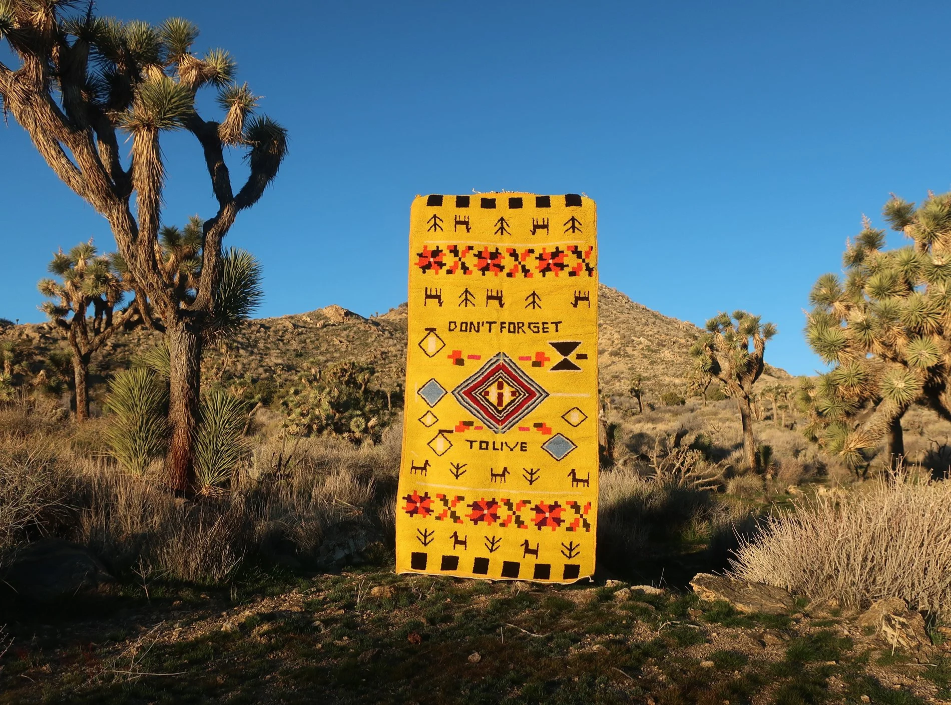 Calikesh by Sofia Badaoui