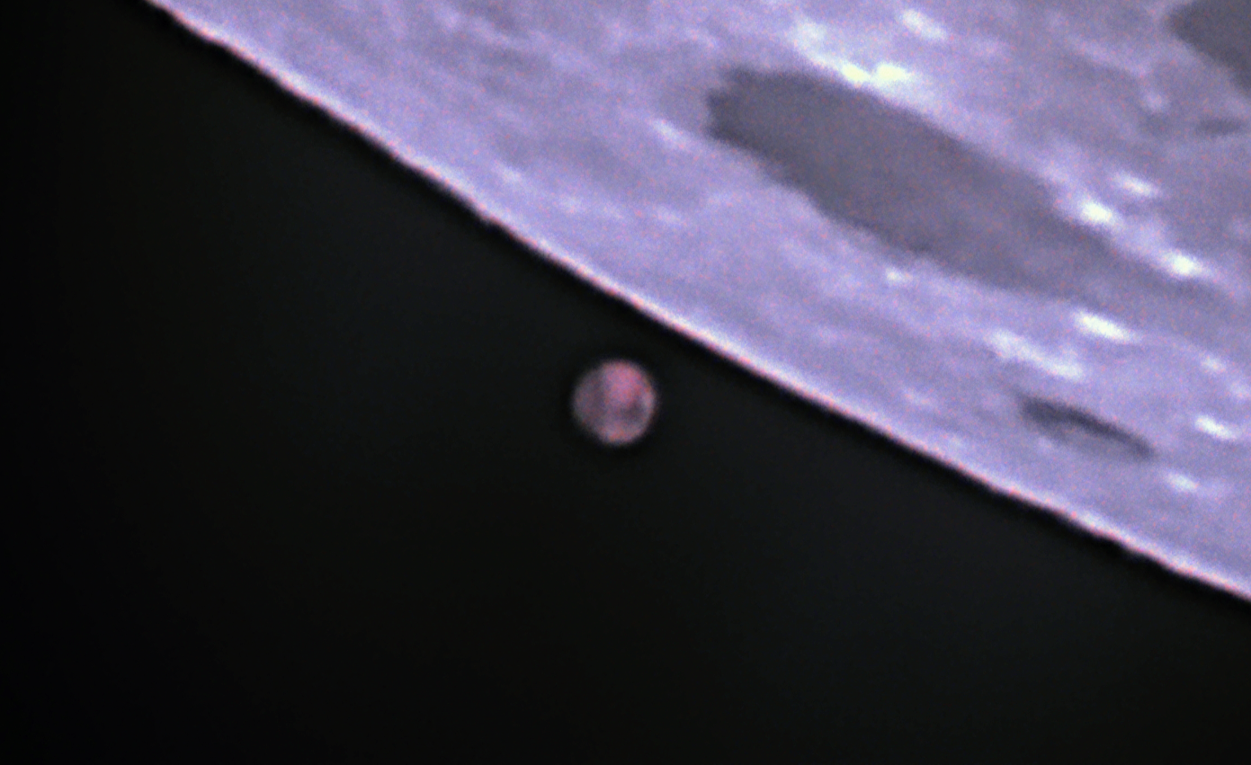 The Moon Blocking Mars! — Stephen Mack