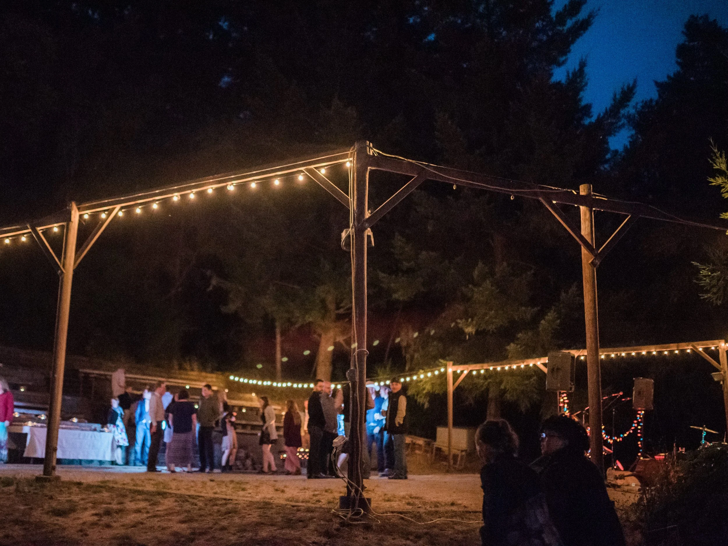 Redwood Trees — OVY Camp