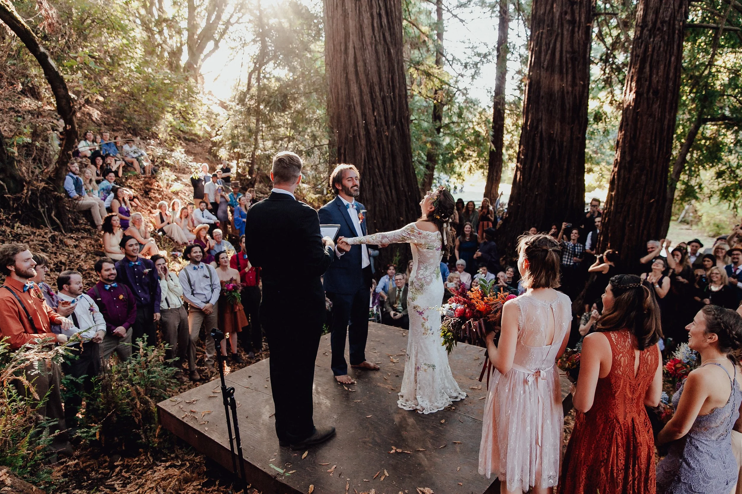 Redwood Trees — OVY Camp
