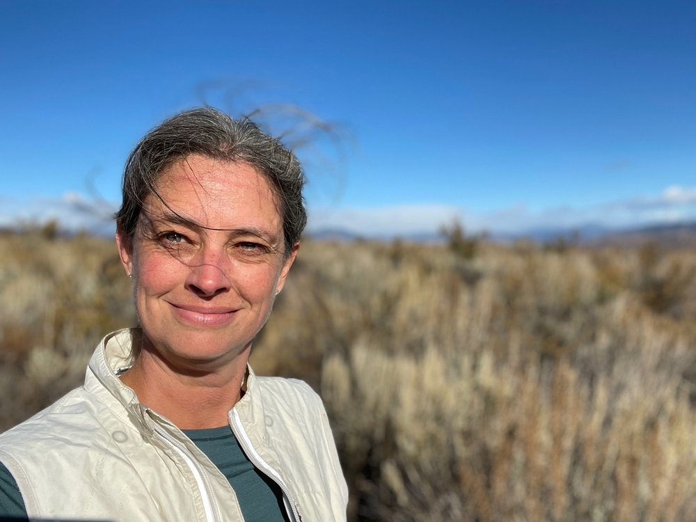 Board — Friends of the Pool