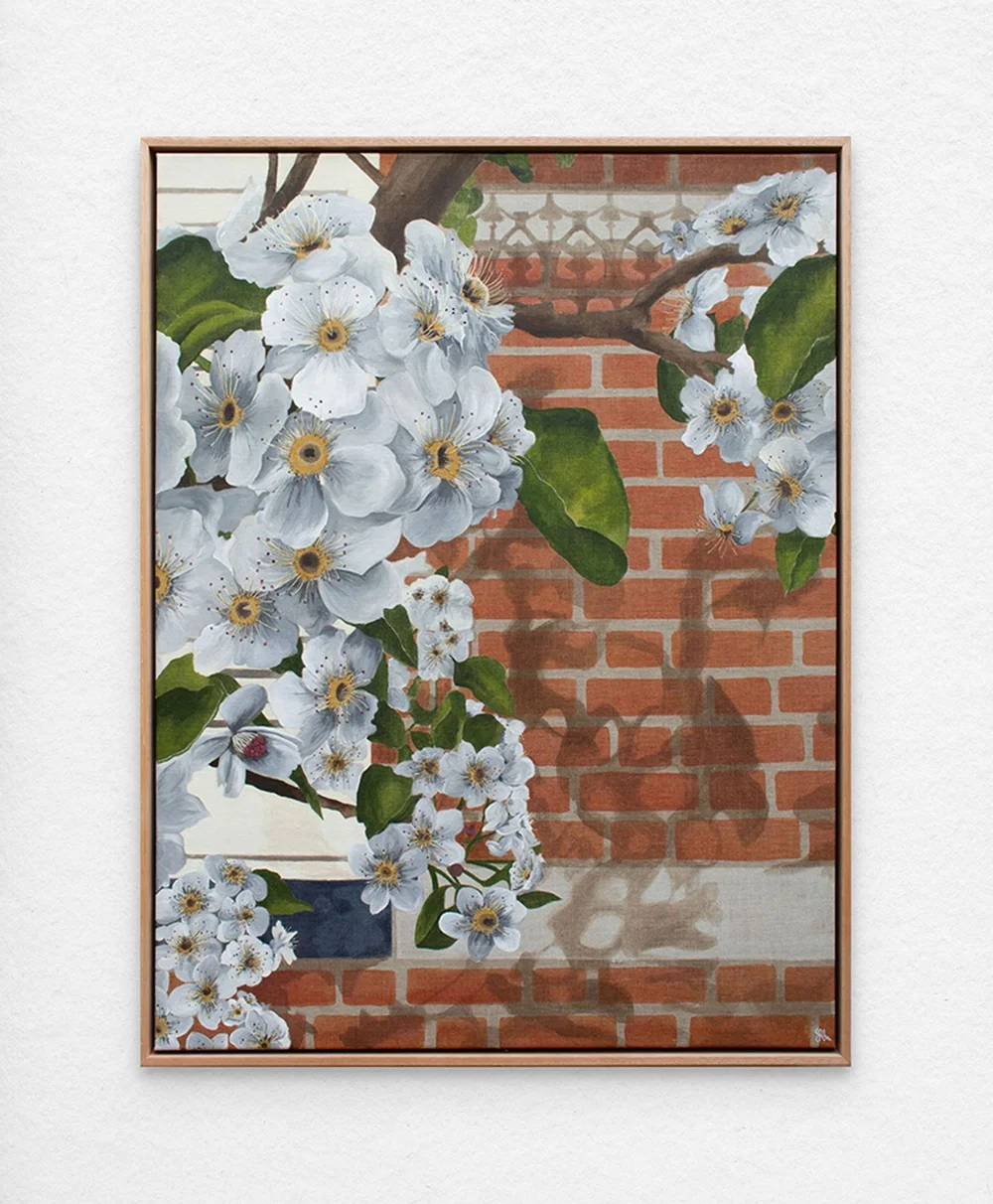 Gallery 1 — Susan Nethercote