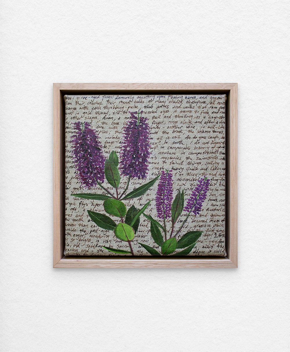 Gallery 1 — Susan Nethercote