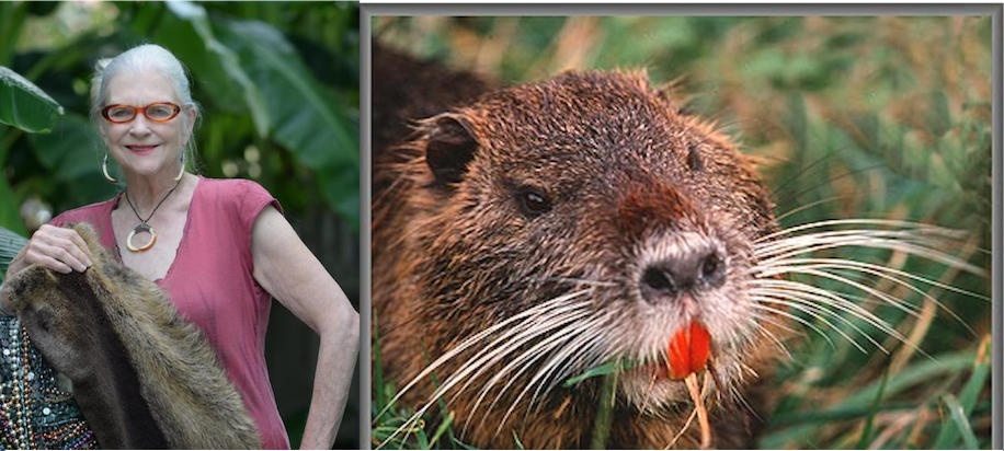 Adults — Hermann-Grima + Gallier Historic Houses