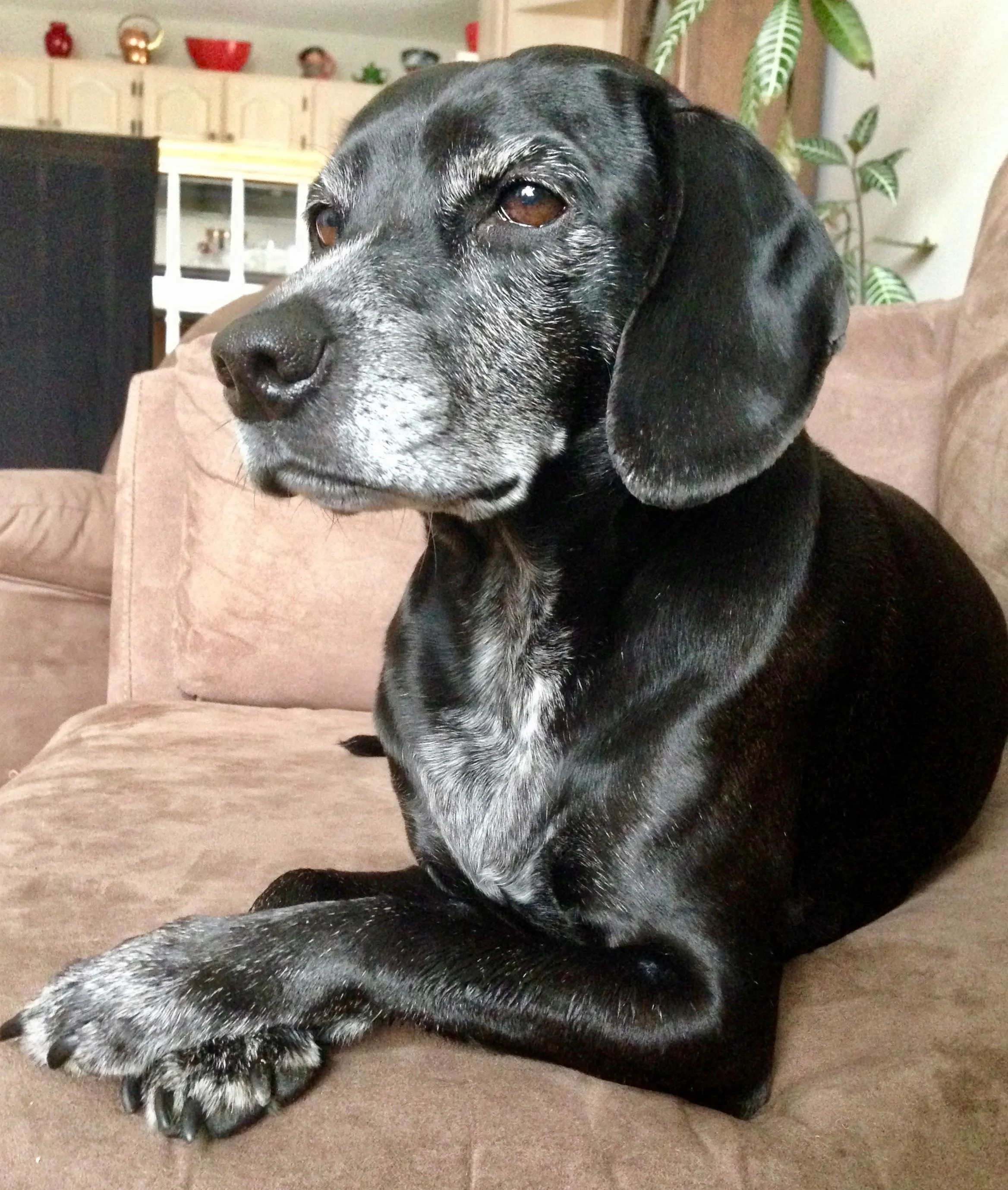 Team — Carter Simpson