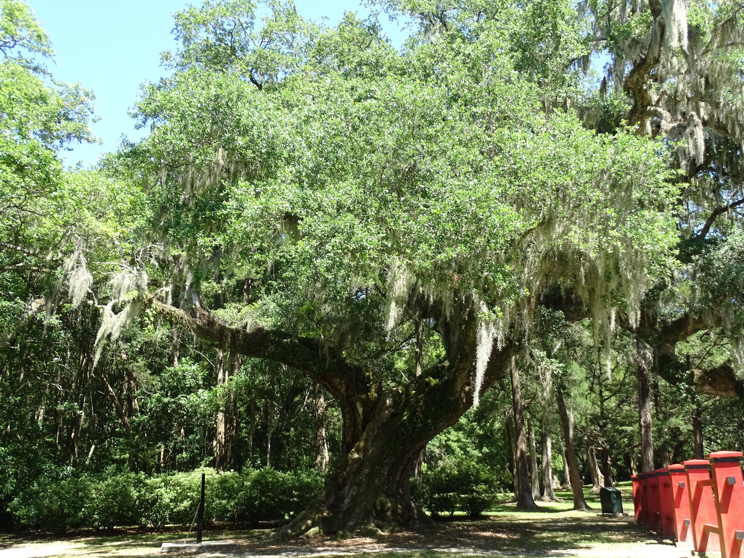 Avery Island Information
