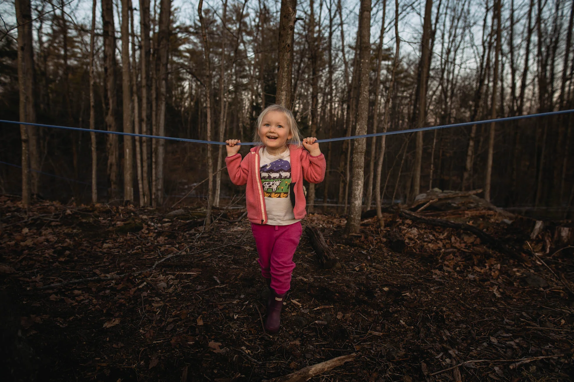 Huckins Maple Farm & Photo