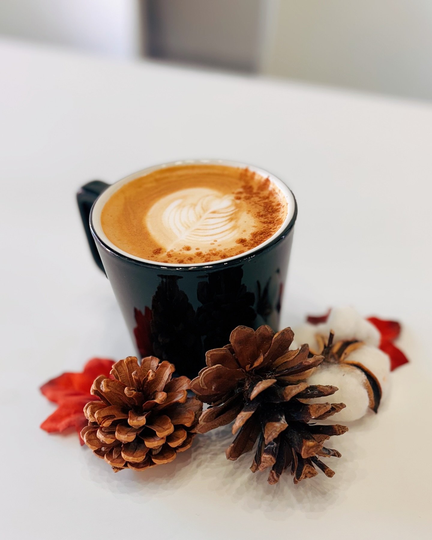 Iris Coffee Company | Pella, Iowa