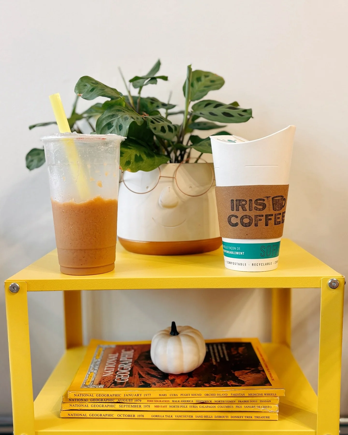 Iris Coffee Company | Pella, Iowa