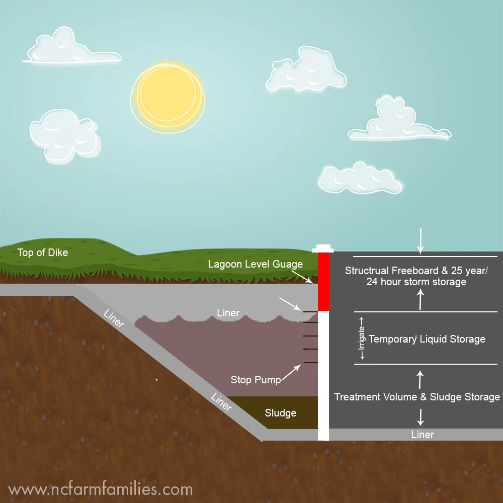 Understanding Pig Lagoons: Everything You Need to Know — NC FARM FAMILIES