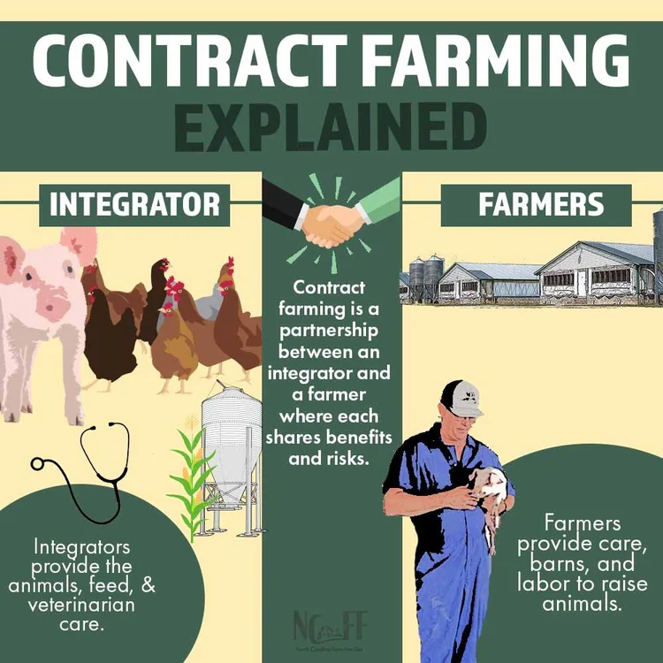 What is Contract Farming? — NC FARM FAMILIES