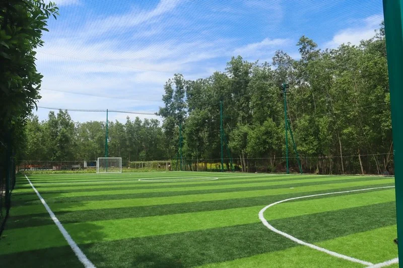 “Vast and Verdant”: Resort Unveils Remarkable Wellness and Recreation ...