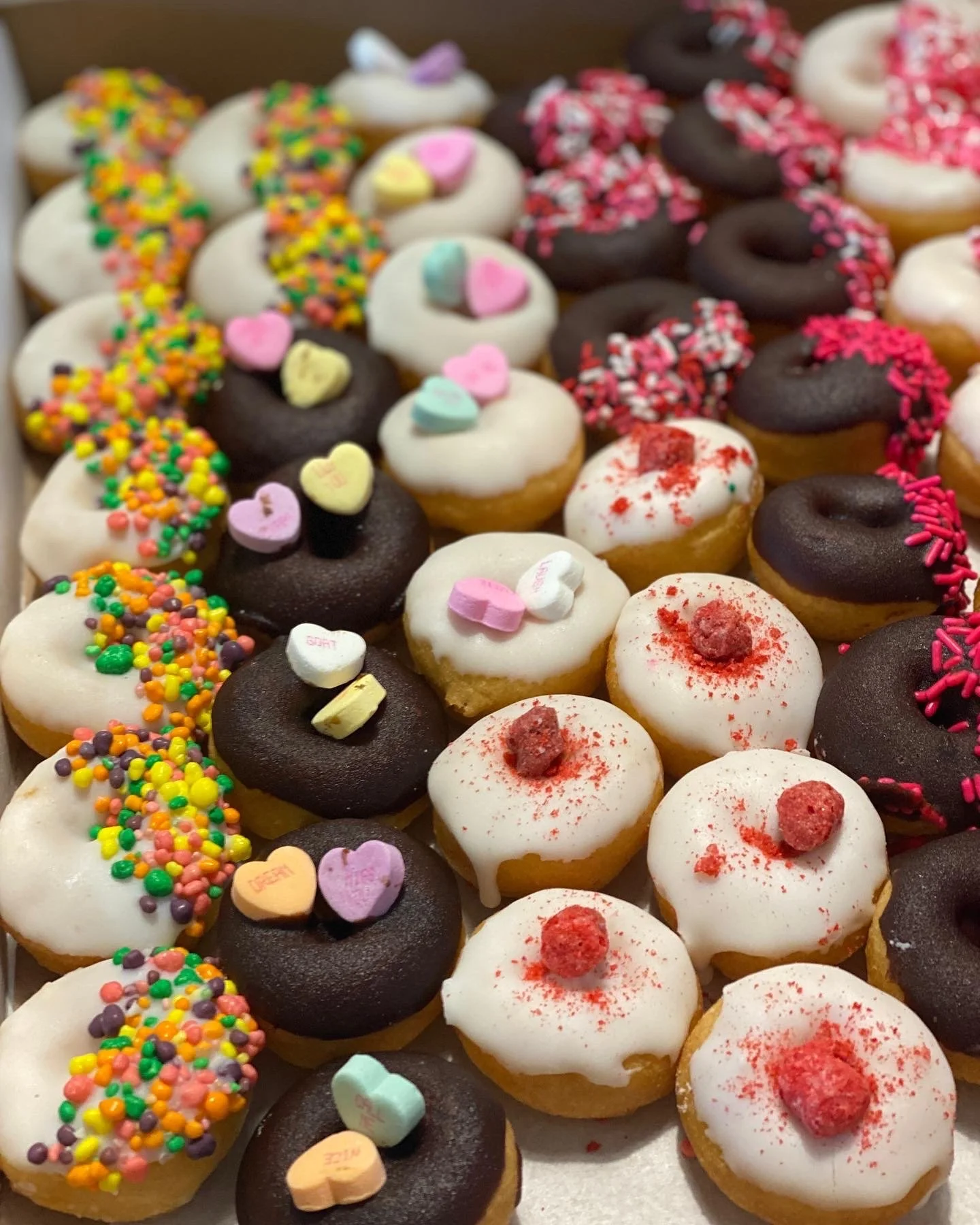 The Mini Donut Company