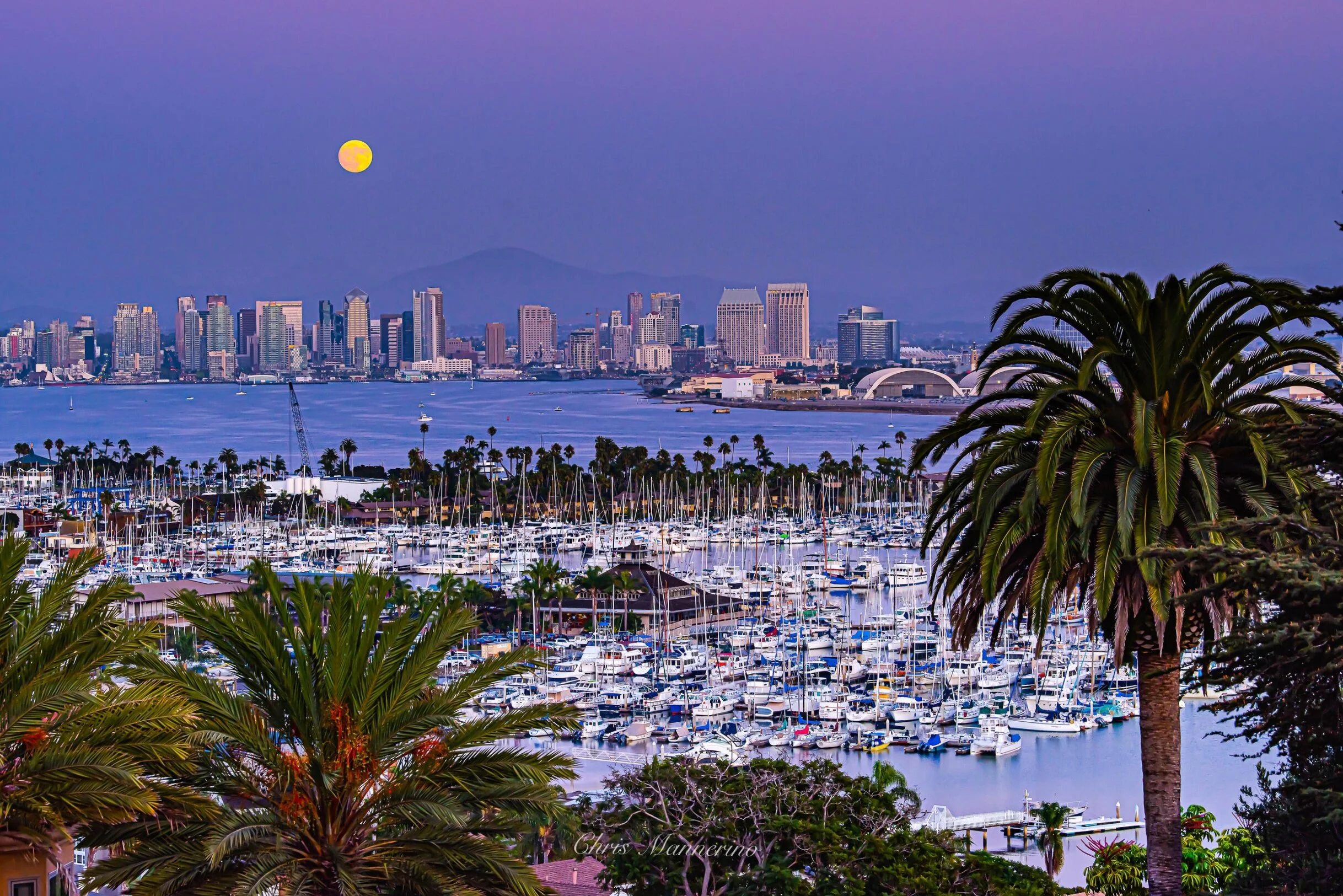 We Beautify — POINT LOMA ASSOCIATION