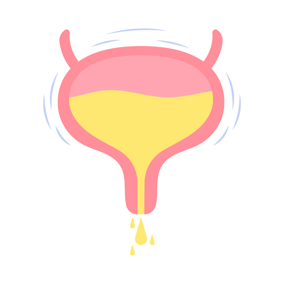 Women's Health & Pelvic Floor Physiotherapy