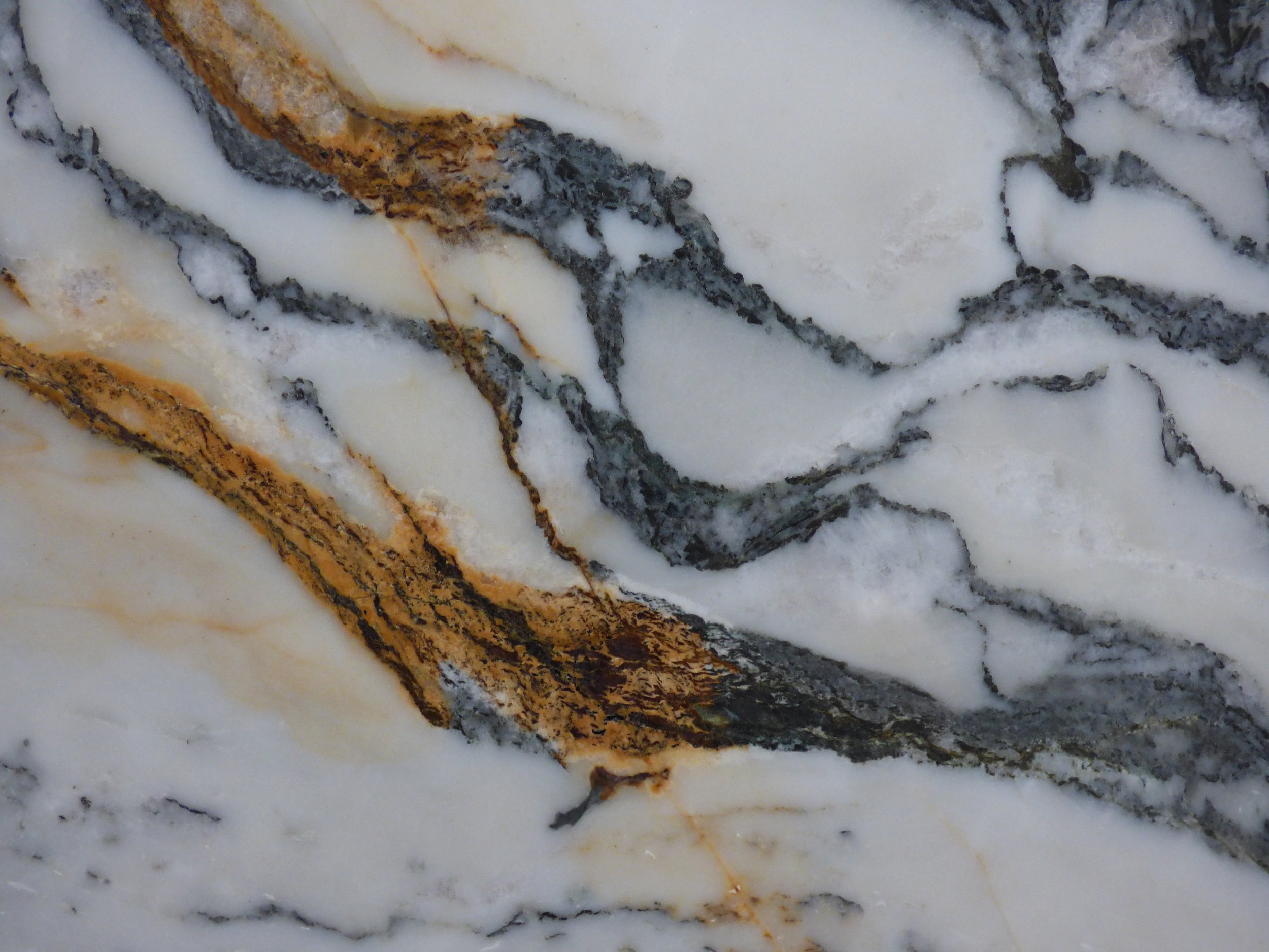 Calacatta Picasso — Complete Marble & Granite