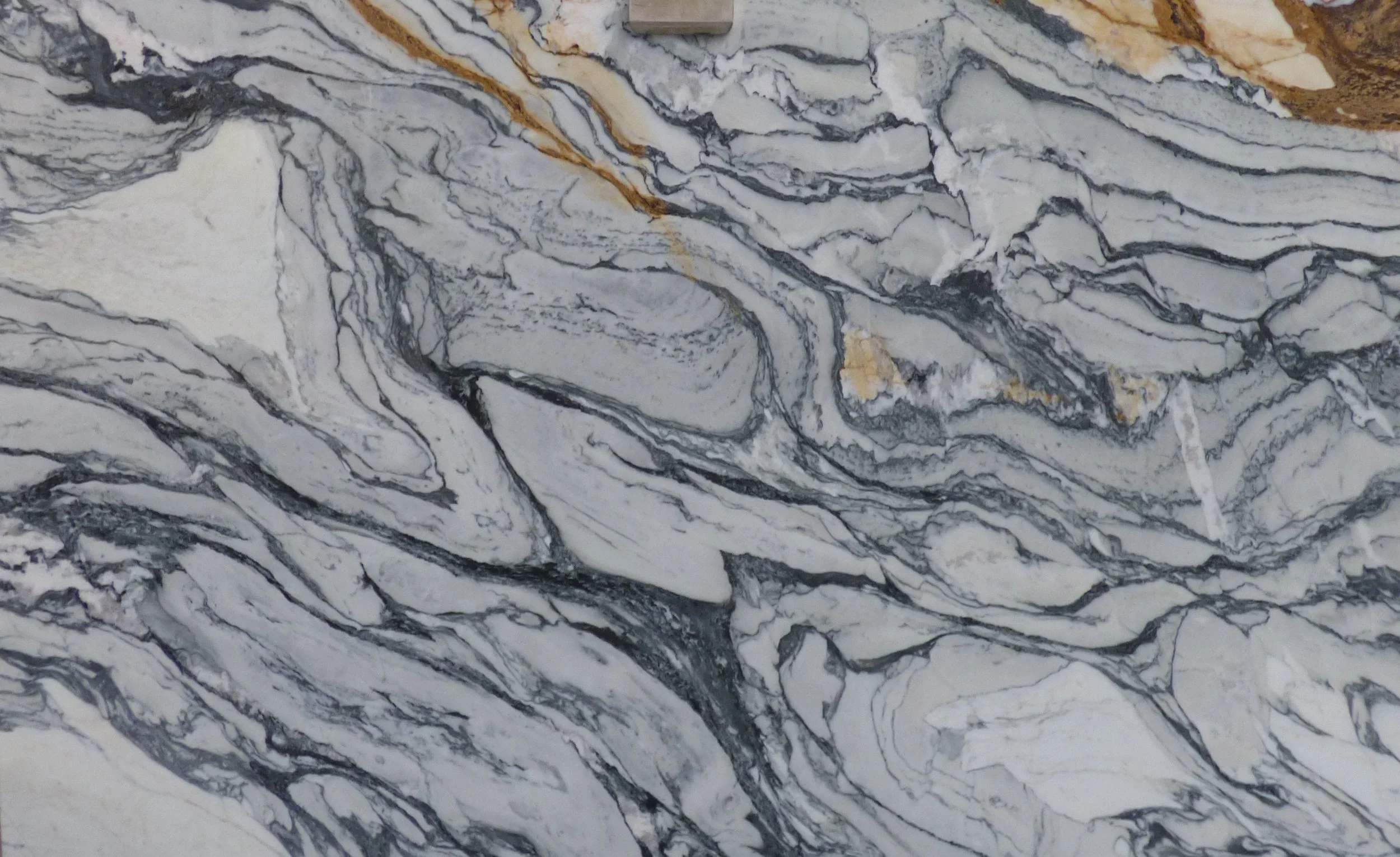 Calacatta Picasso — Complete Marble & Granite