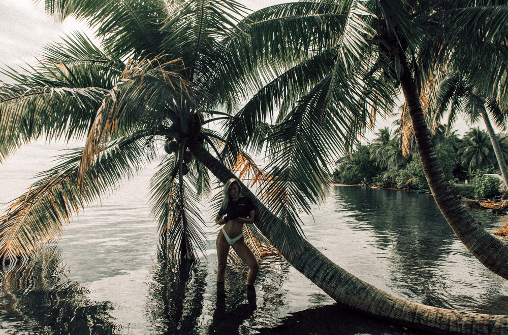 coral gardeners x Olivia Ponton — ivana cook