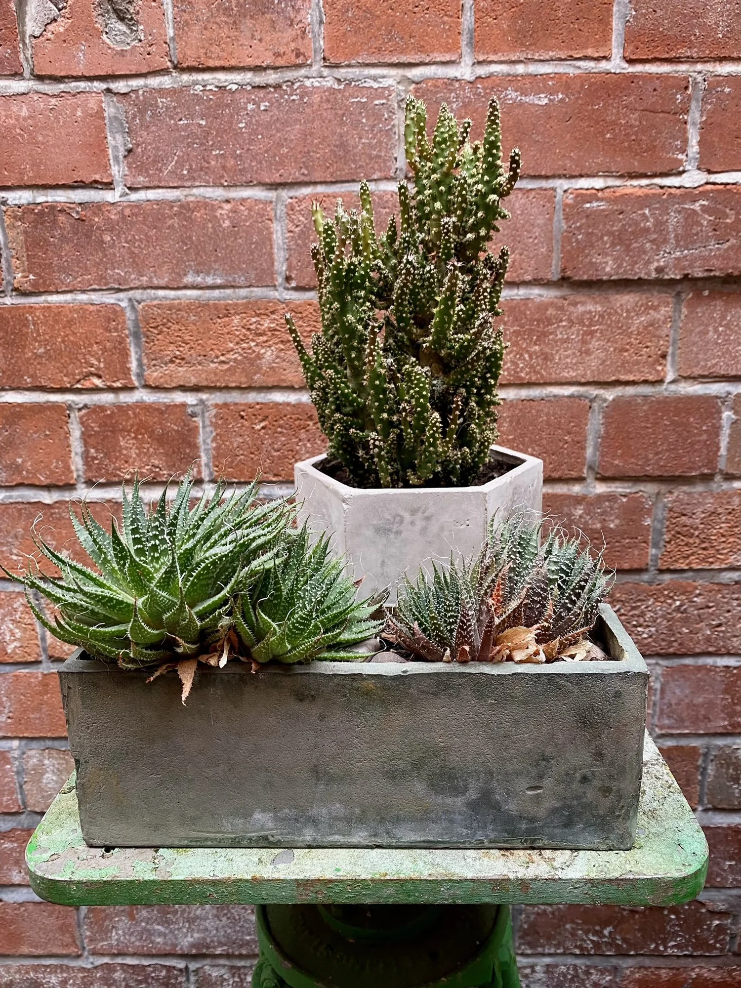 Belfast Tool Library Class Schedule — Belfast Tool Library