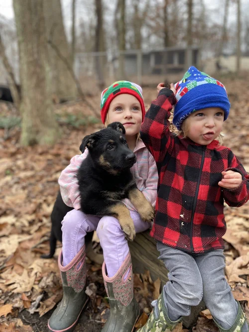 Stride Away Shepherds