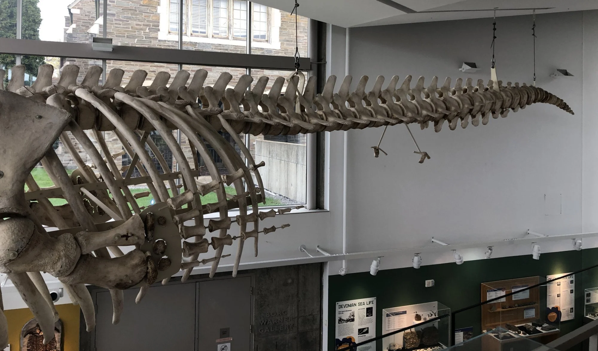 Housewarming Gifts — Paleontological Research Institution