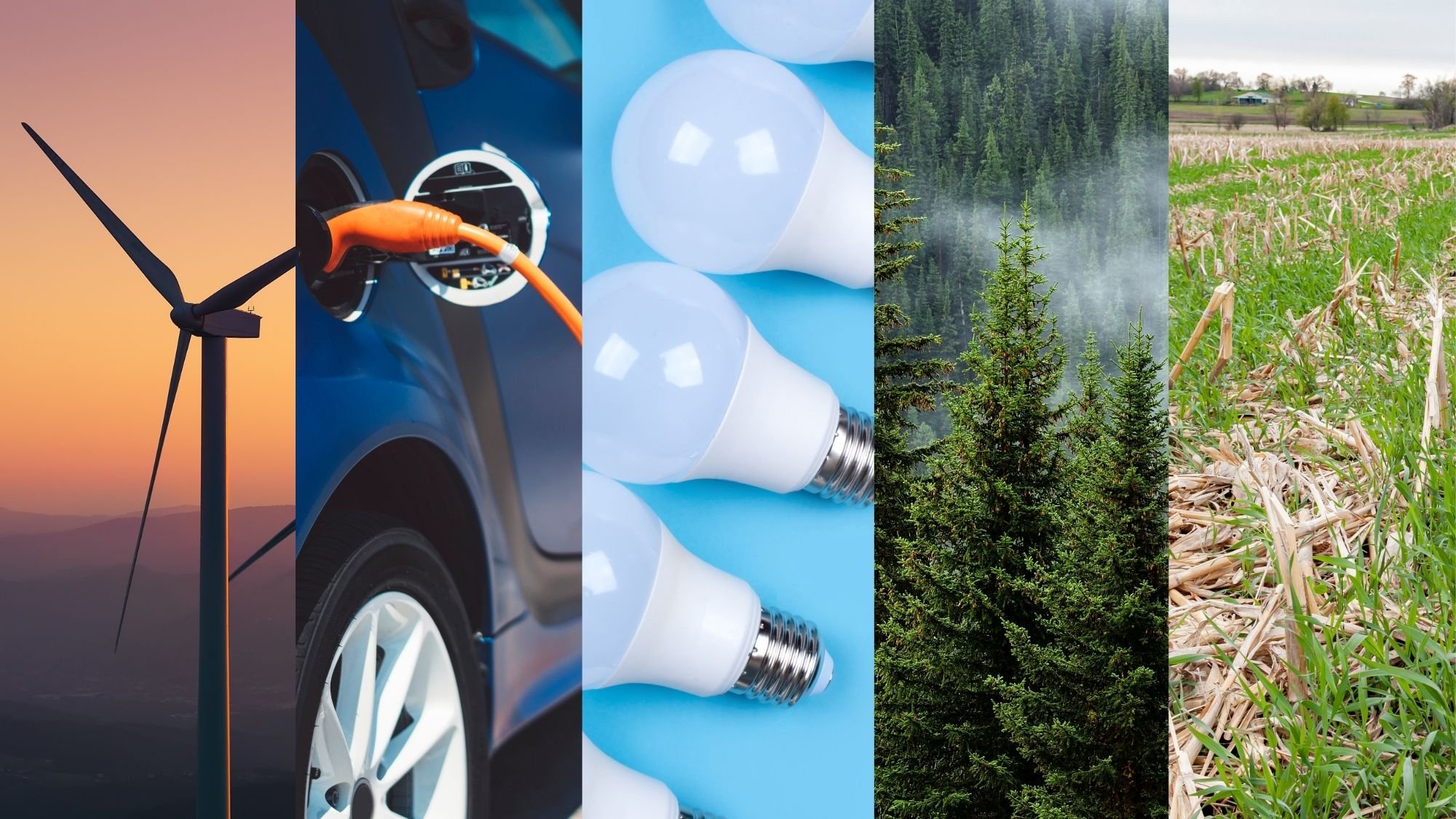 Ten Ways You Can Mitigate Climate Change — Paleontological Research ... Ten Ways You Can Mitigate Climate Change — Paleontological Research ...