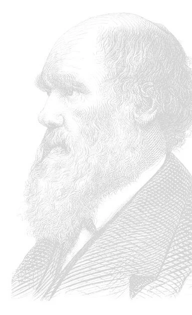 Darwin Days — Paleontological Research Institution