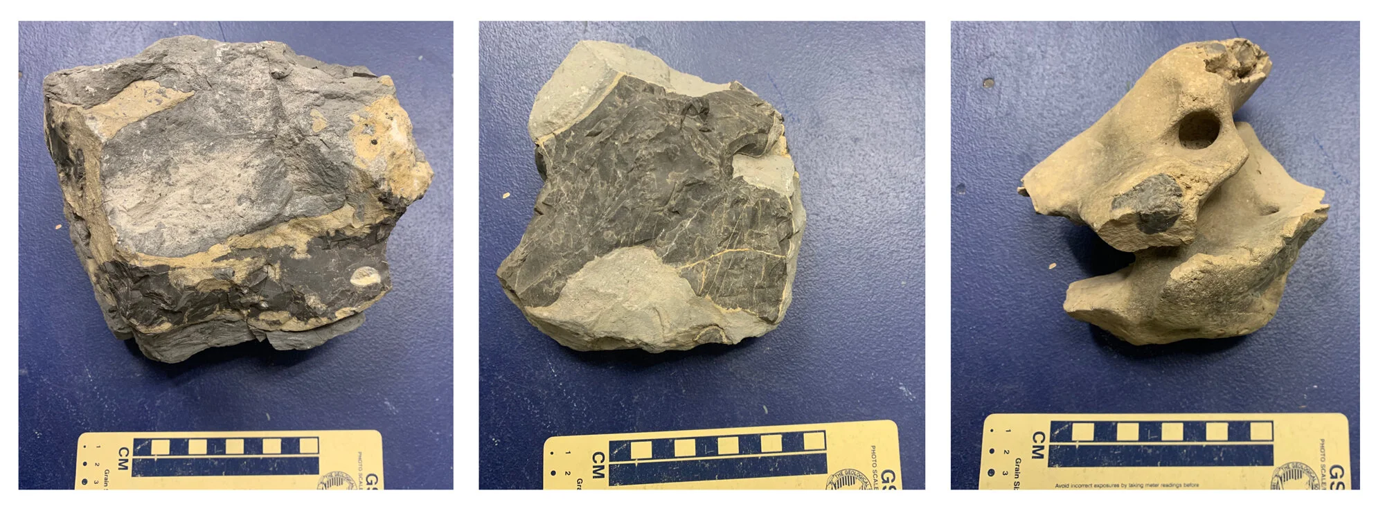 Concretions — Paleontological Research Institution