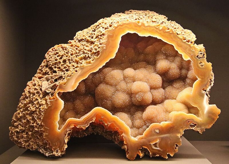 Concretions — Paleontological Research Institution