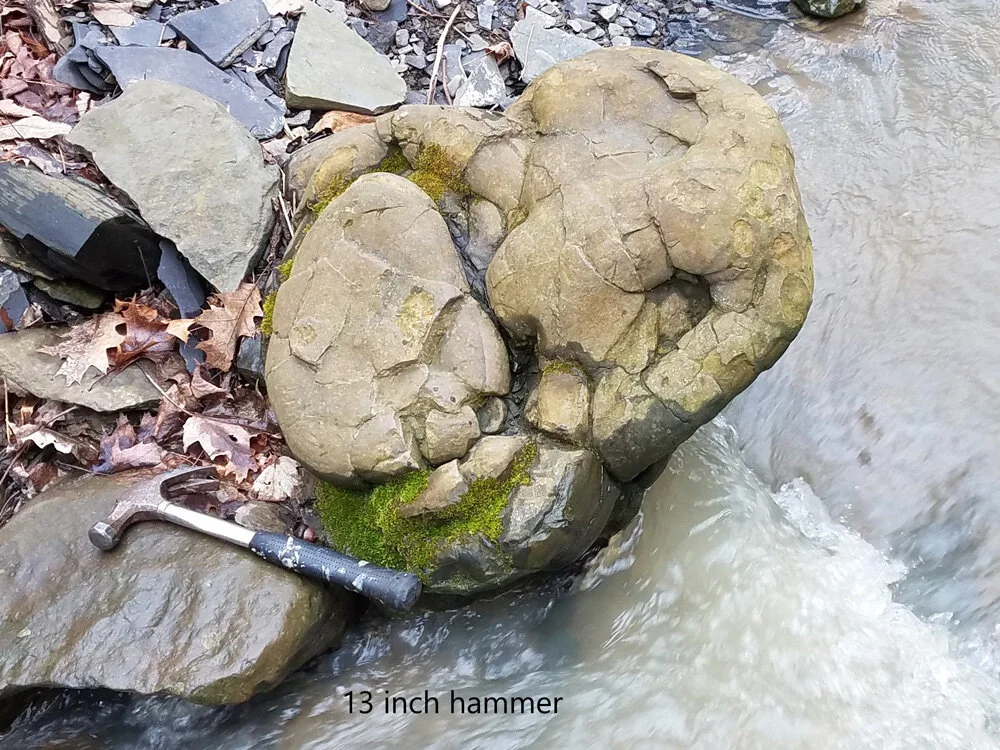 Concretions — Paleontological Research Institution