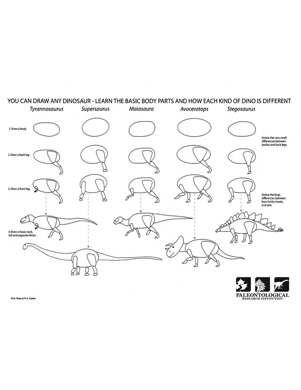 Fun Fossil Activities — Paleontological Research Institution