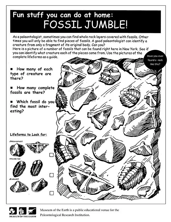Fun Fossil Activities — Paleontological Research Institution